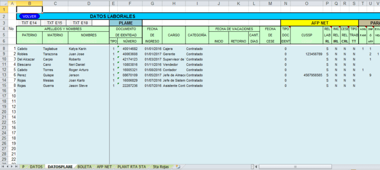 PLAME – Planilla de remuneraciones electrónica – Archivo Excel